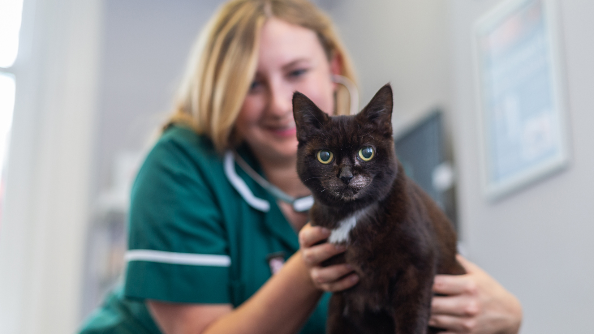 About Us | Local Vets in Portishead - Vale Vets Portishead