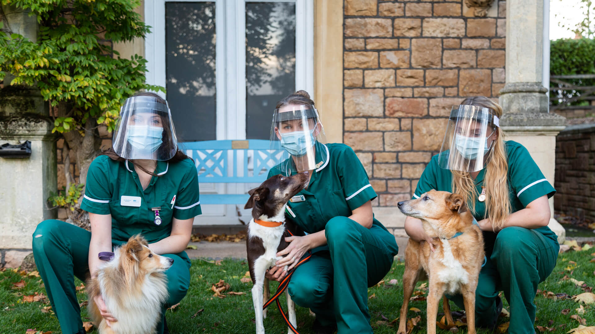 Meet the Team | Local Vets in Portishead - Vale Vets Portishead