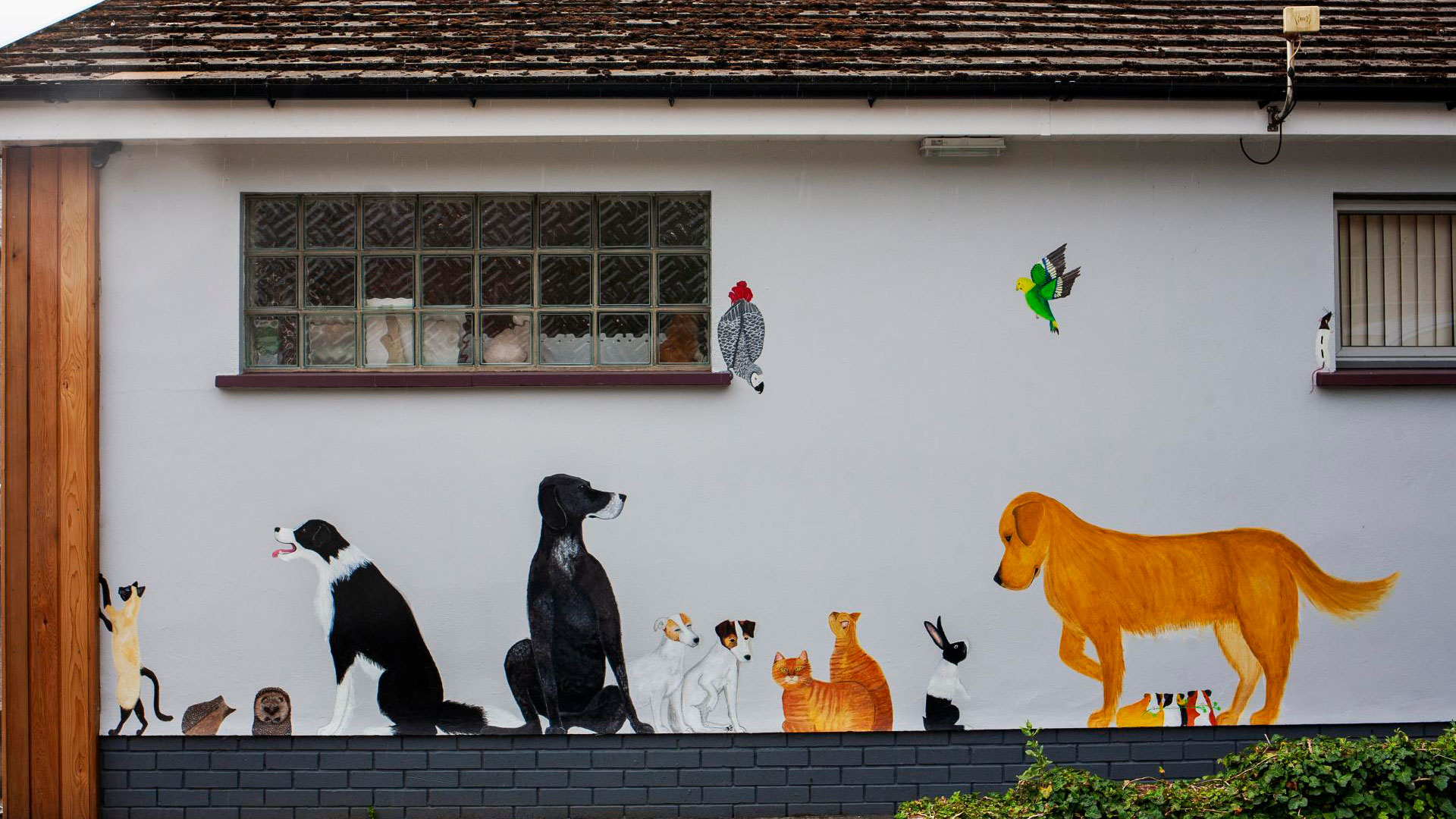 Contact Priory Vets Cardigan - Priory Vets Cardigan