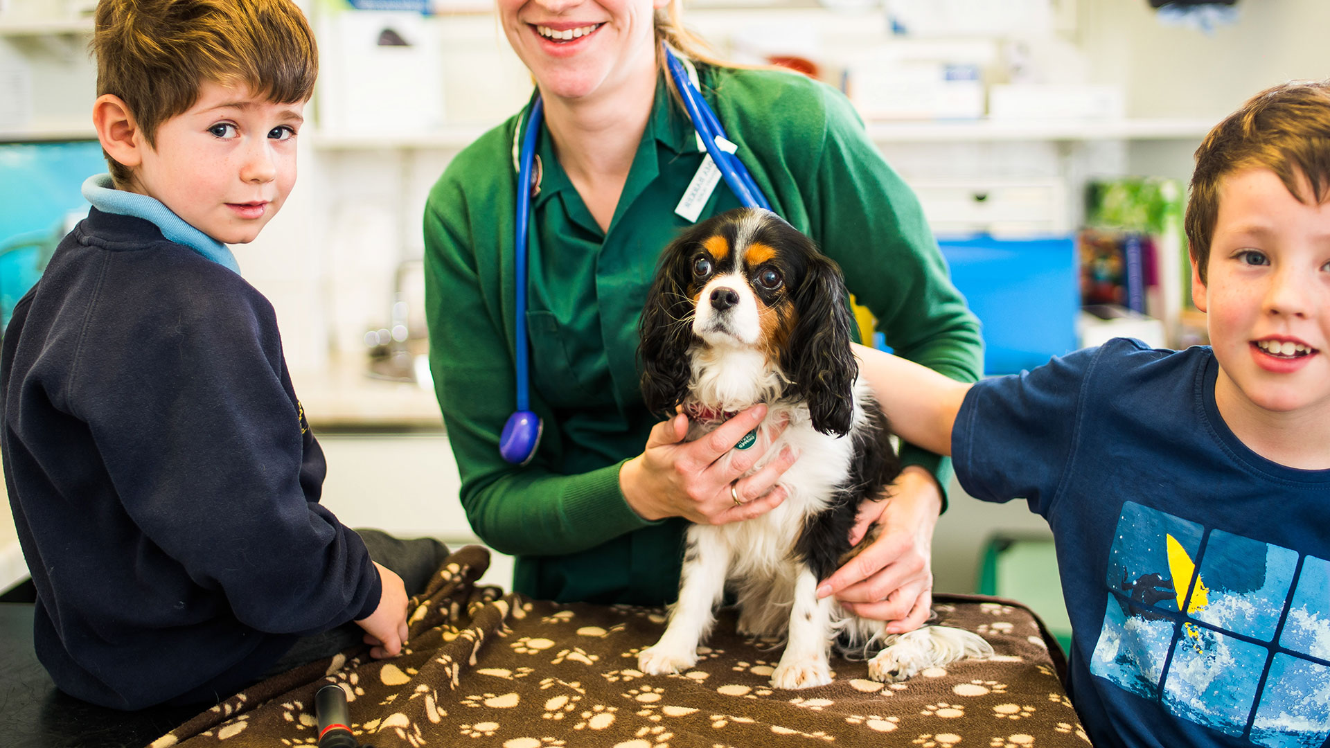 Your Feedback at Rhodes Vets Northampton | Have Your Say - Rhodes Vets
