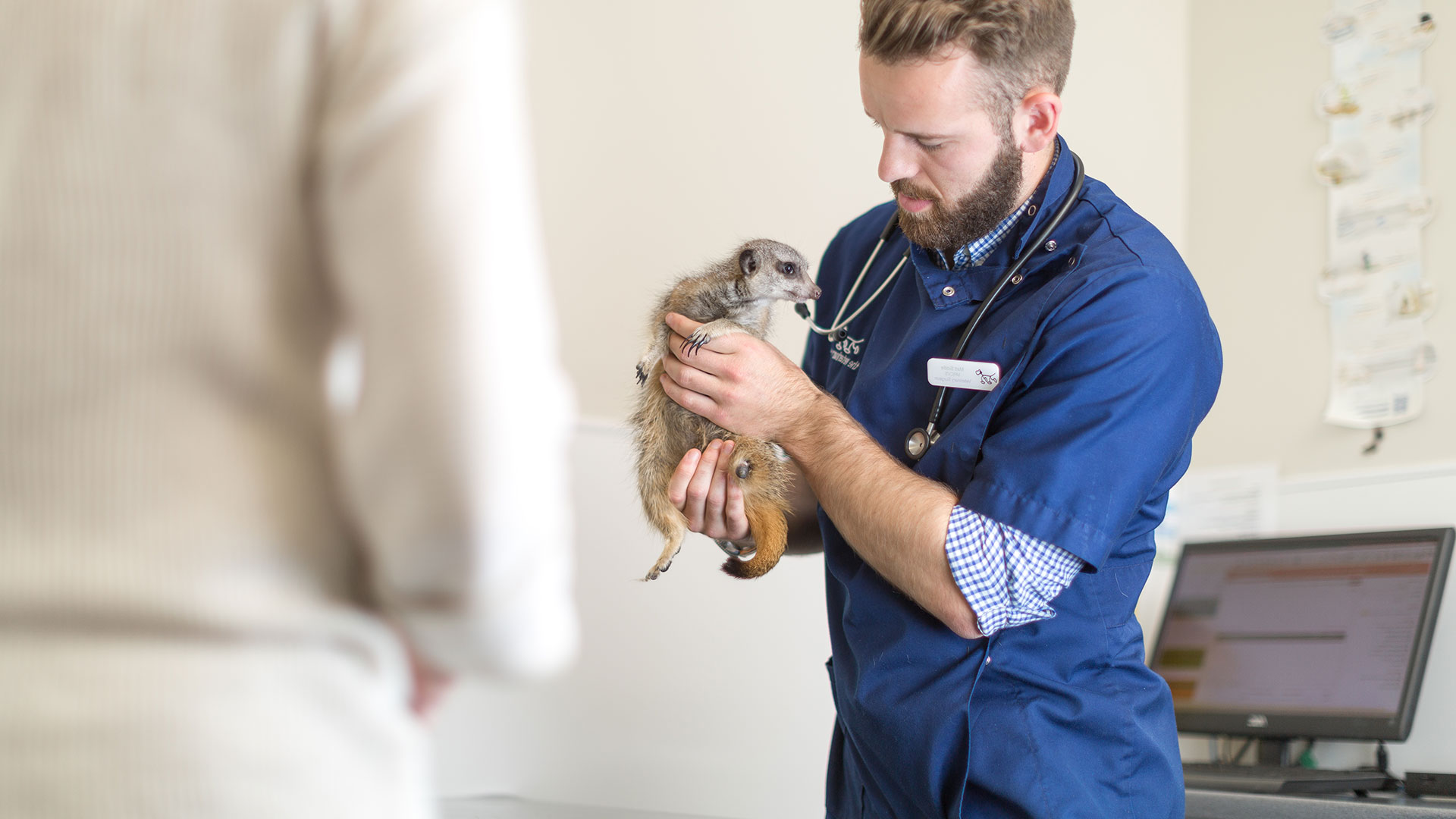 Pet Services | Robson & Prescott Vets | Vets in Northumberland - Robson ...