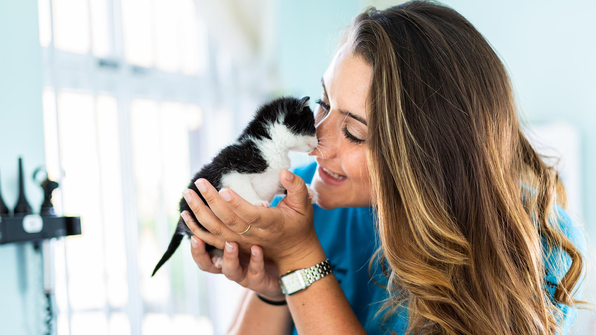 Register Your Pet | Roe Valley Vets in Limavady - Roe Valley Vets