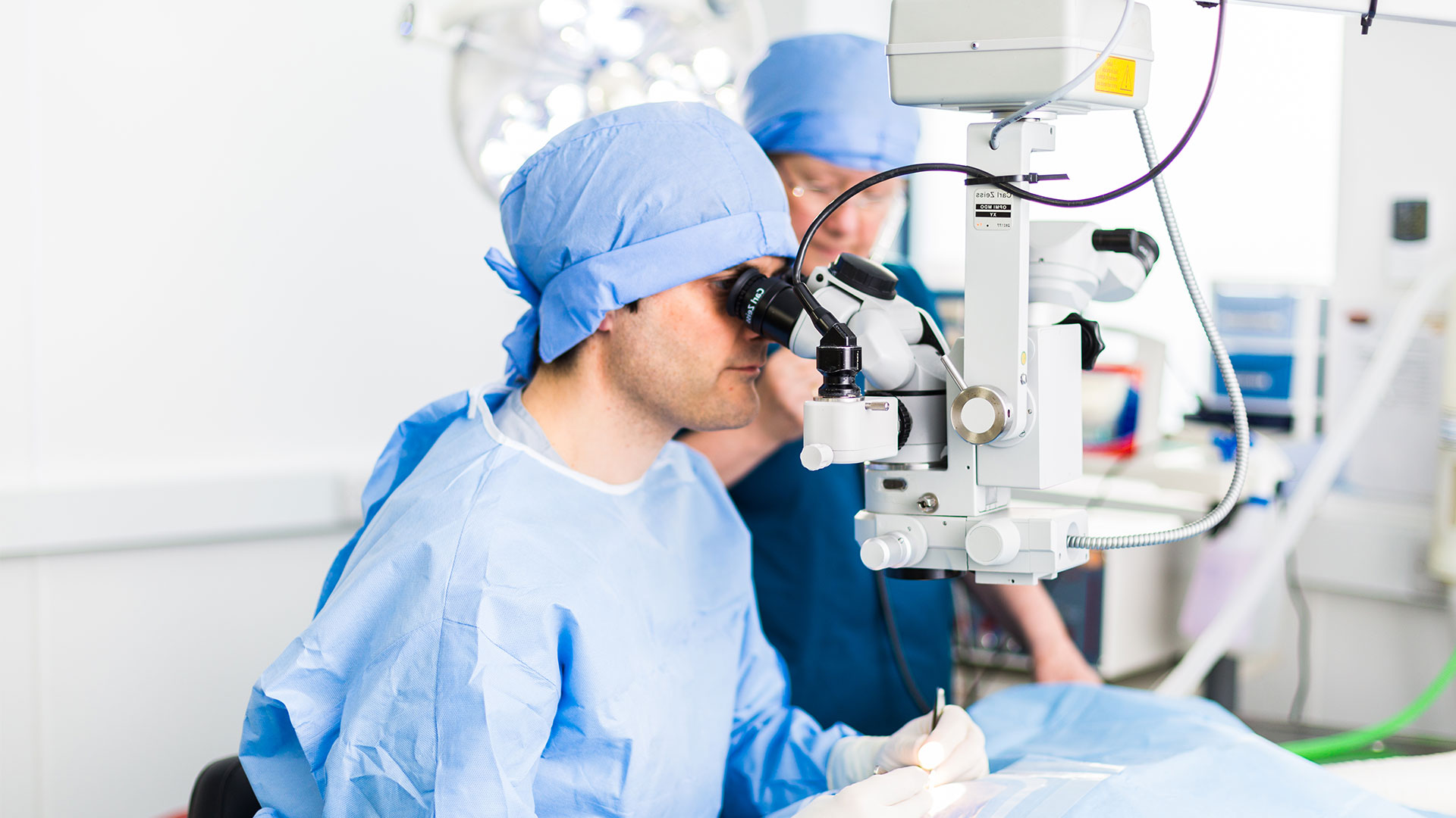 Ophthalmology Rowe Veterinary Referrals South West Vet Referrals Ophthalmology Rowe Veterinary Referrals South West Vet Referrals