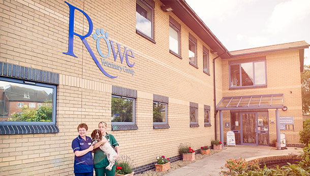 Meet our team of expert veterinary staff | Rowe Veterinary Group - Rowe ...