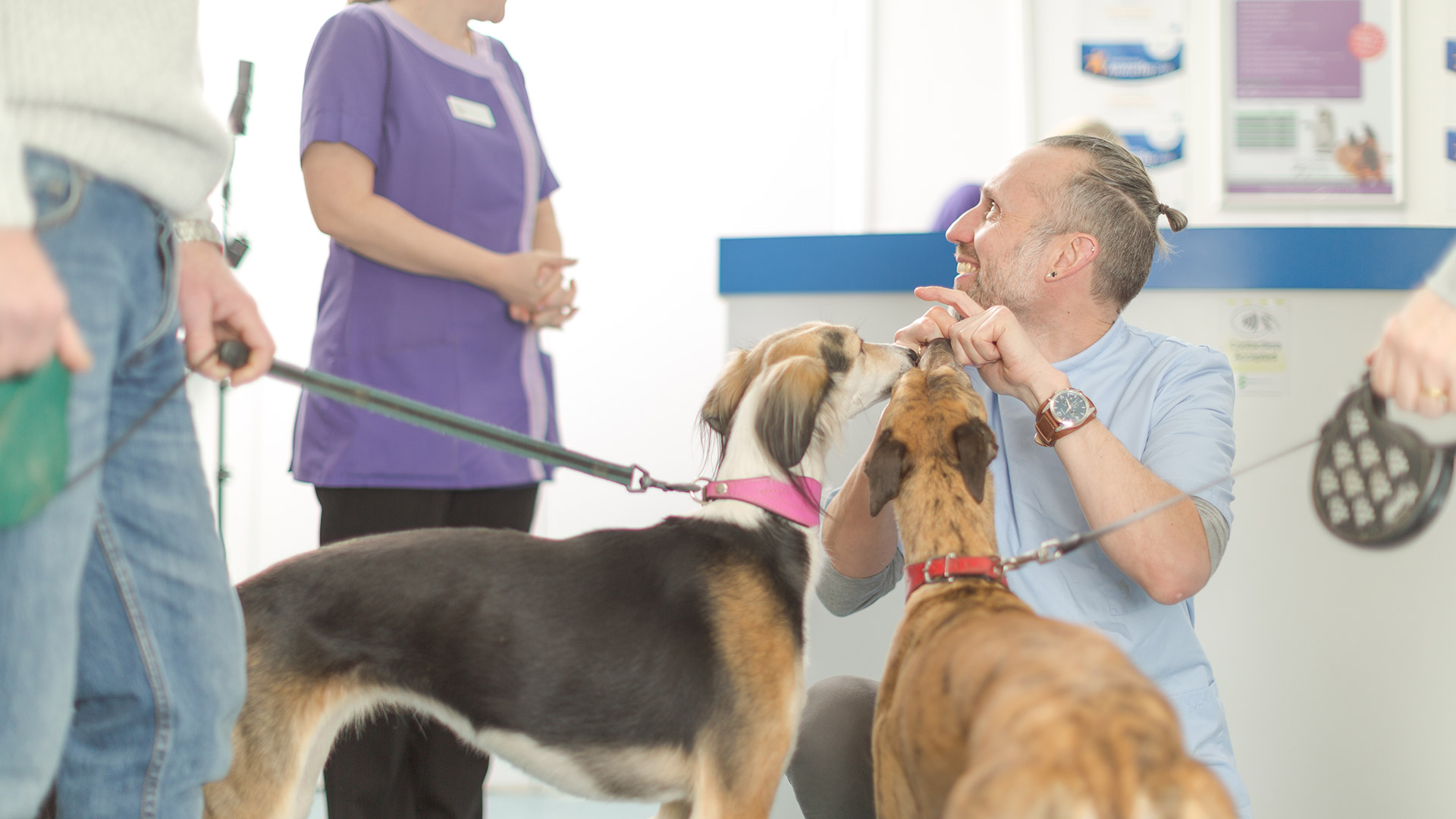 Rushden Vet's Promise | Client Charter - Rushden Vets
