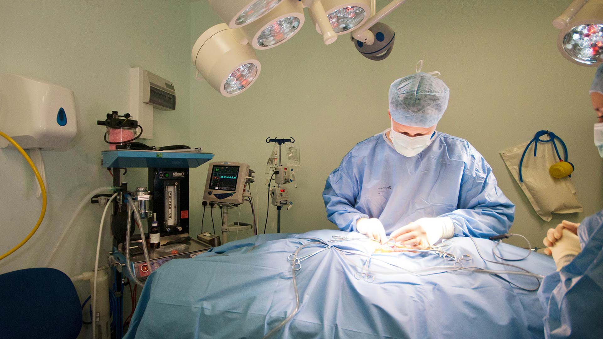 Vet Specialist Vacancies in Hampshire | SCVS Jobs - SCVS