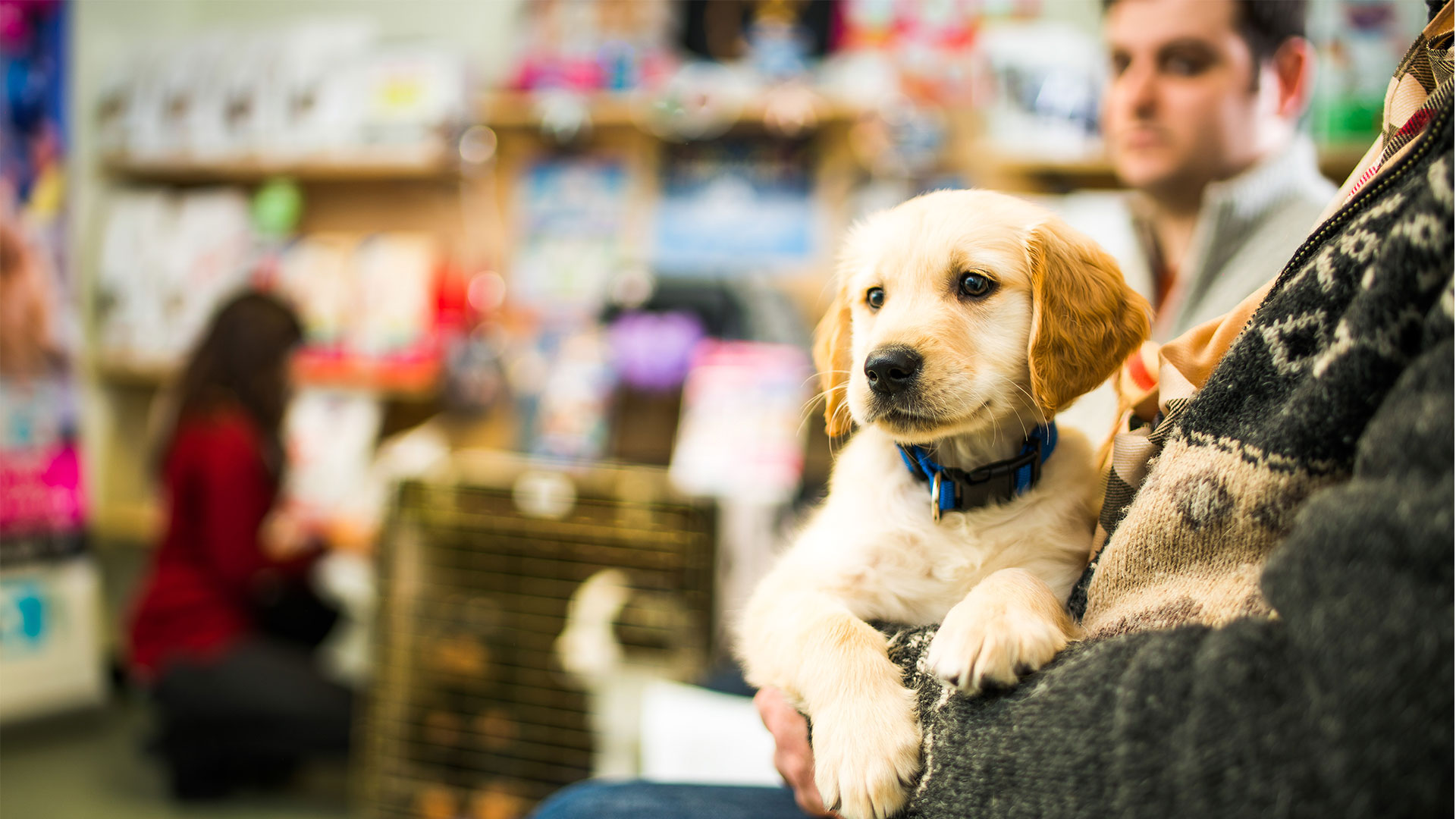 Contact Us | Local vets in Keith and Buckie - Seafield Veterinary Group