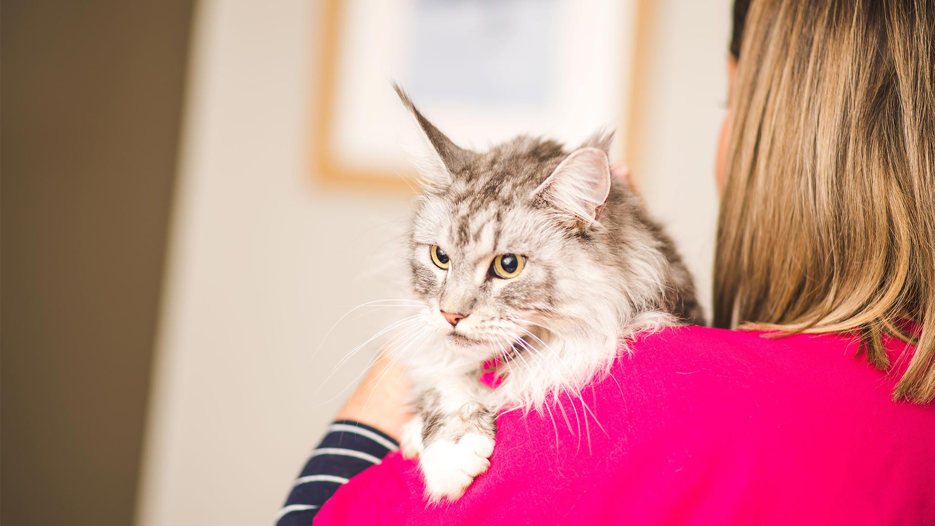 Meet the Team | Local Vets in Keith and Buckie - Seafield Veterinary Group