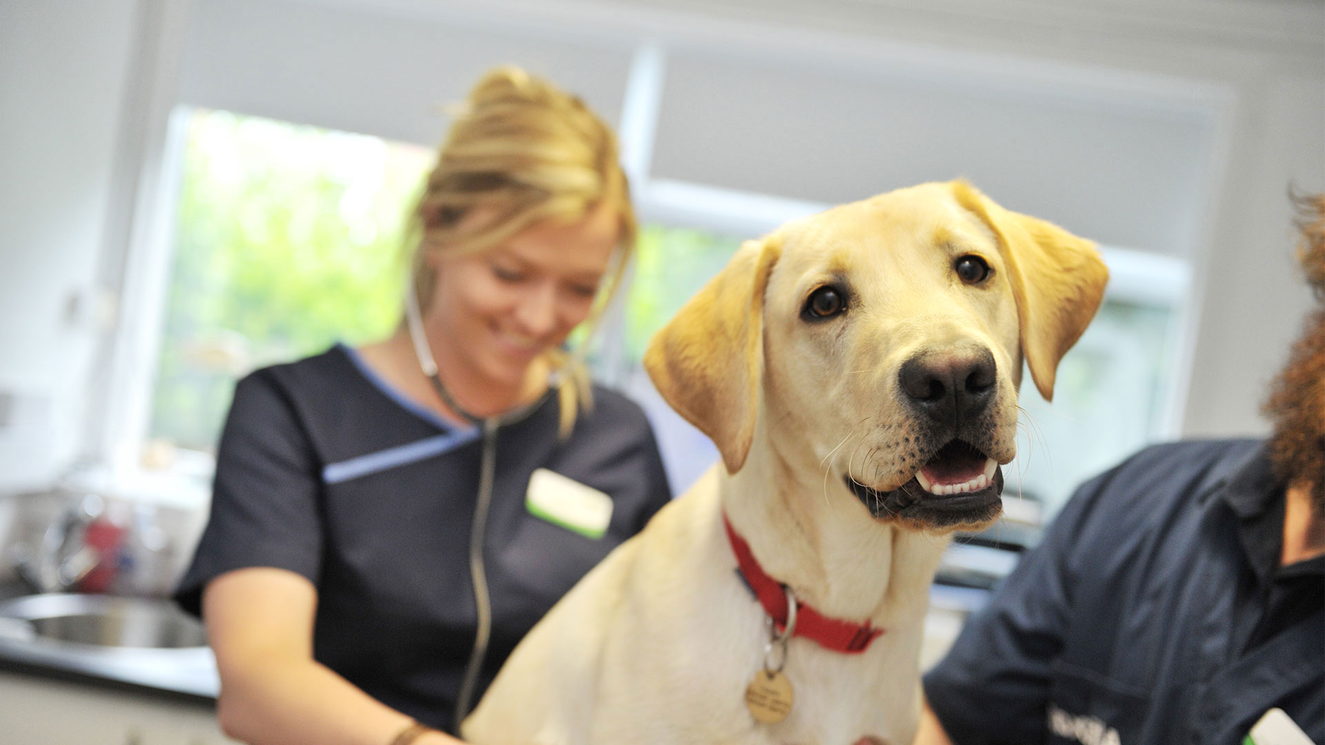 Find Vets In & Near Durham | Sheriffs Highway Vets - Sheriff Highway Vets