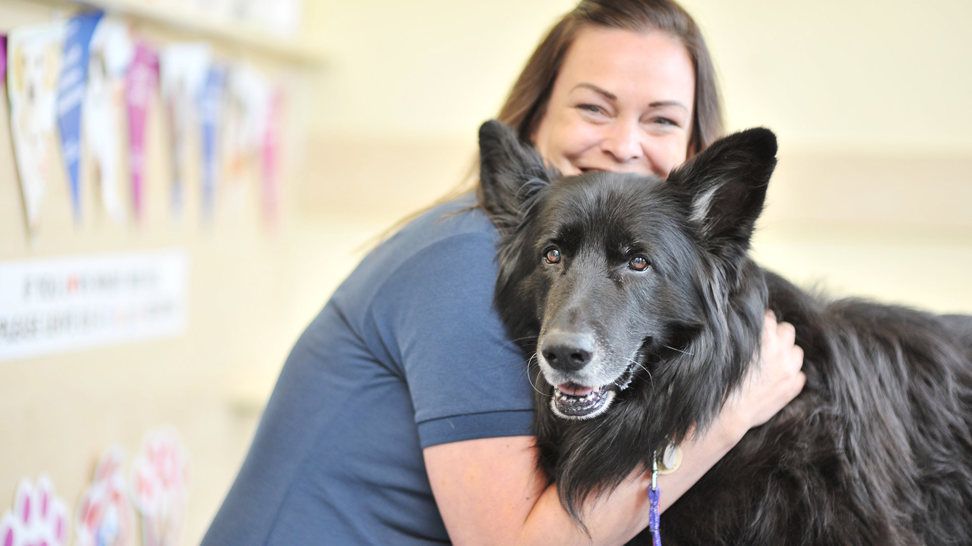 About Shipley & Idle Vets in Shipley and Idle | West Yorkshire Vet ...