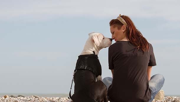 Vets in Gillingham | Affordable Dorset Vets - Shreen Vets