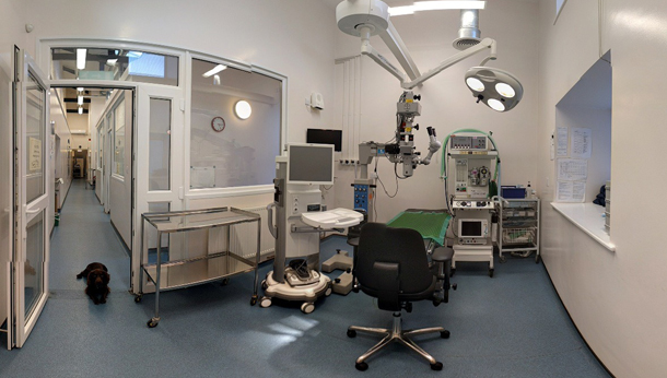 Our Facilities | Local Vets in South Devon - South Devon Referrals