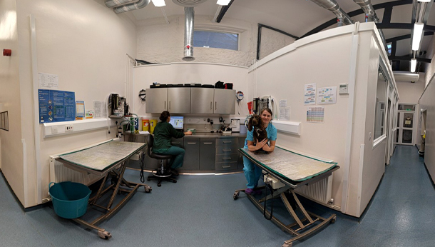 Our Facilities | Local Vets in South Devon - South Devon Referrals