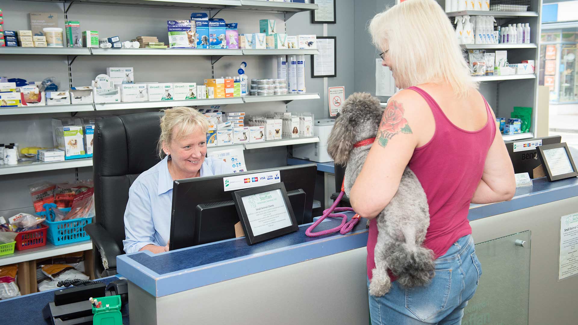 Contact Steffan Vets | Vets in West Wales - Steffan Vets