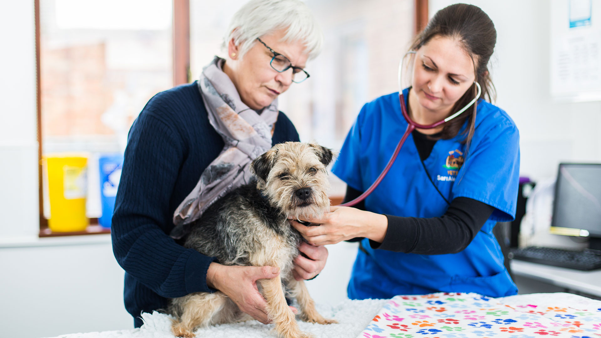 Contact us | Local Vets in Upton upon Severn and Worcester - Stocks Vets