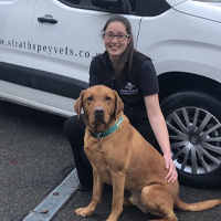 Welcome to Strathspey Veterinary Centre | Dedicated & Passionate Vets ...