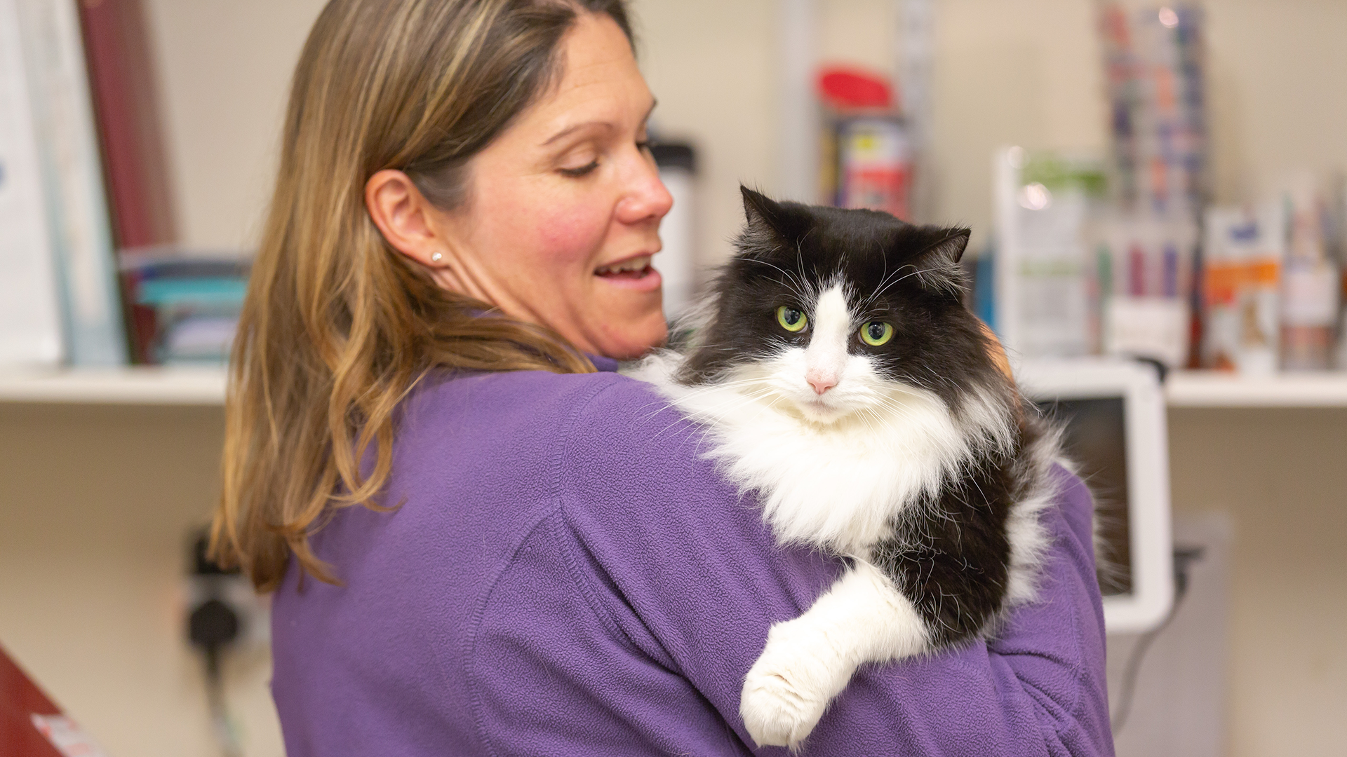 Pet Advice | Vets in Fakenham - Summerhill Vets, Norfolk