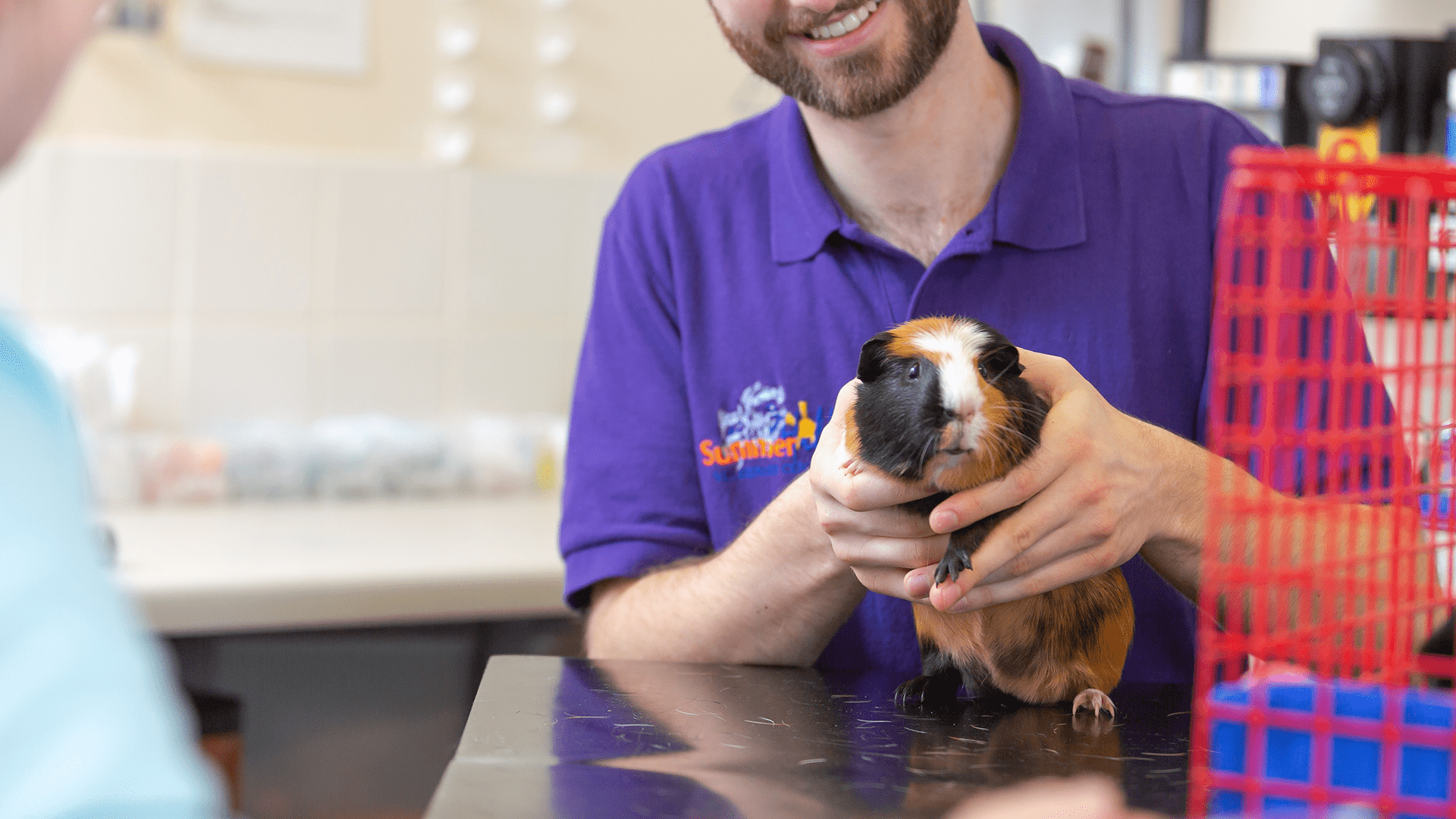 Offers | Local Vets in Norfolk - Summerhill Vets, Norfolk