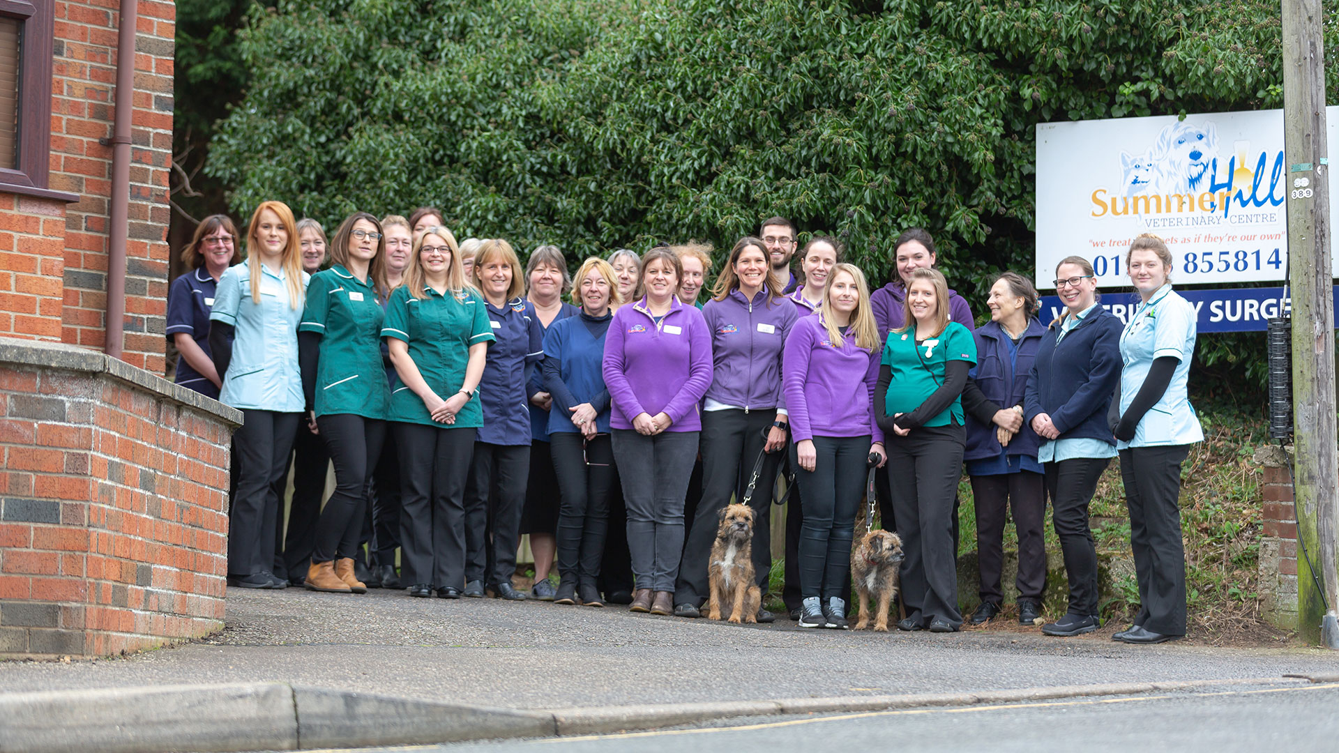Meet the Team | Vets in Fakenham - Summerhill Vets, Norfolk