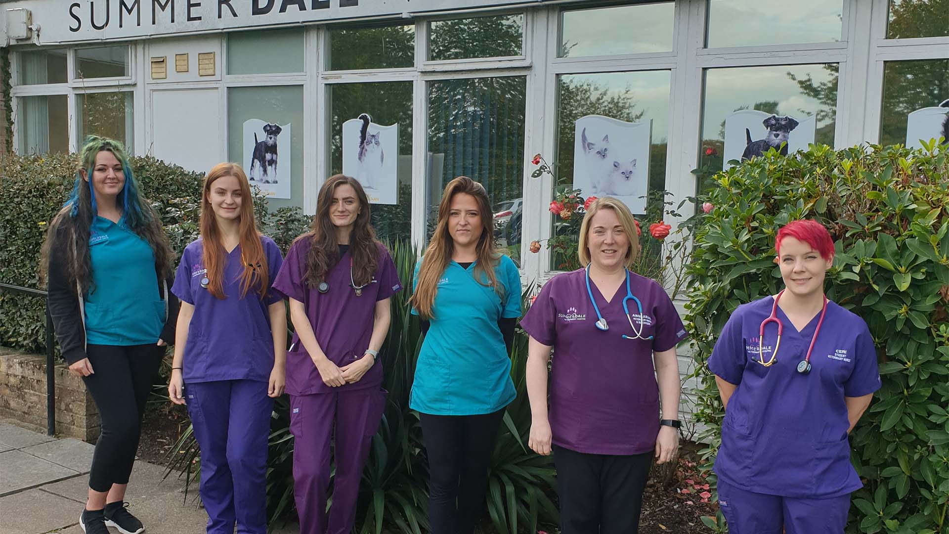 Work With Summerhill Vets | Vets in South Wales & West - Summerhill Vets