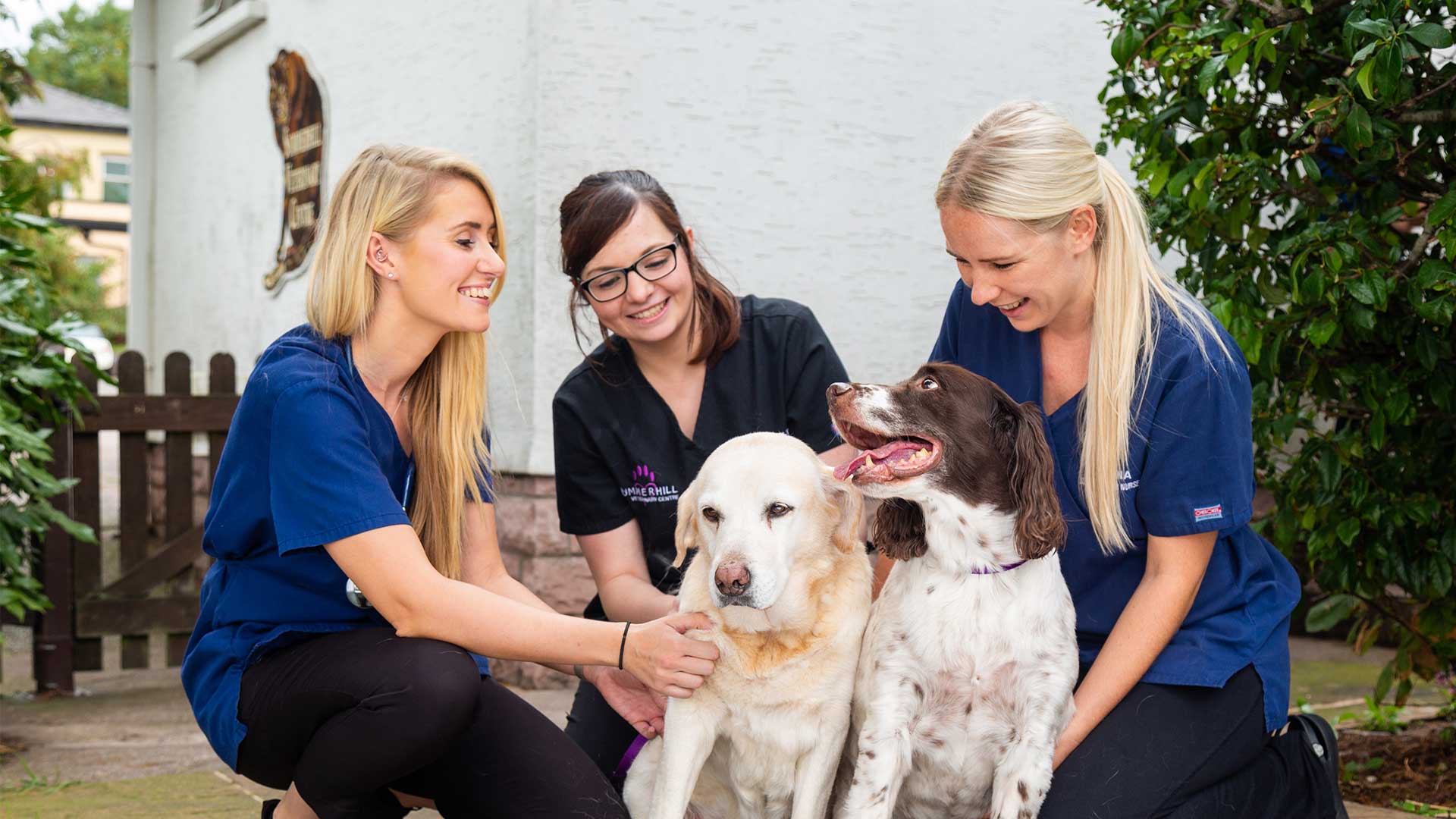 Contact Summerhill Vets | Vets in South Wales & West - Summerhill Vets