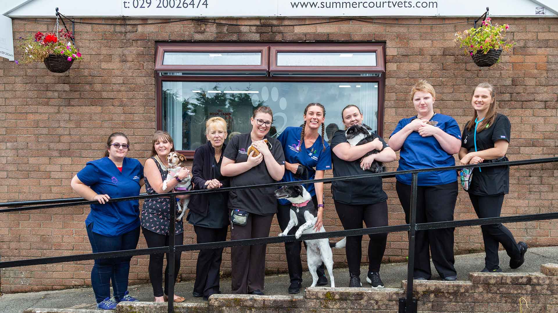 The Team at Summerhill Vets | Vets in South Wales & West - Summerhill Vets