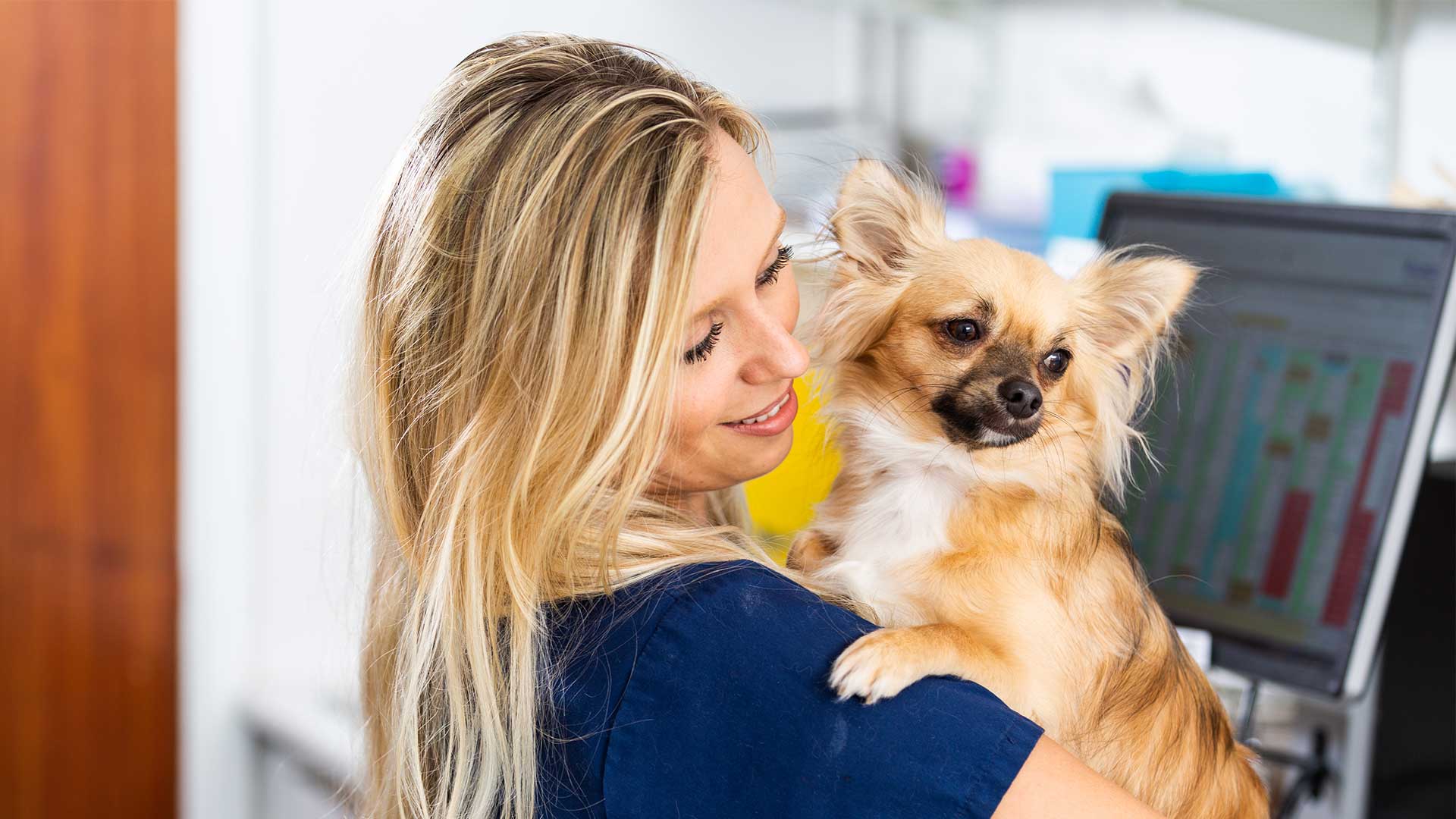 Pet Advice at Summerhill Vets | Vets in South Wales & West - Summerhill ...