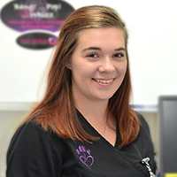 The Team at Summerhill Vets | Vets in South Wales & West - Summerhill Vets