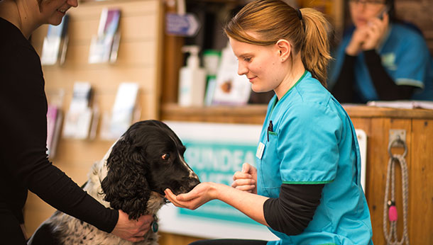 About us | Vets in Gloucestershire - Sundean Vets
