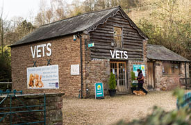 Contacting Sundean Vet Group | Get In Touch Today! - Sundean Vets