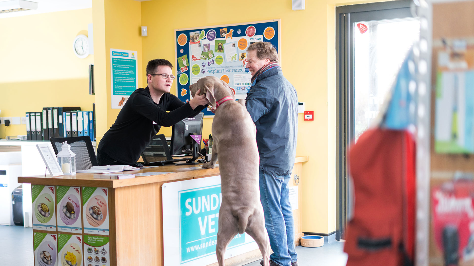 Meet the Team at Sundean Vet Group | Our Vets, Nurses & Office Team ...