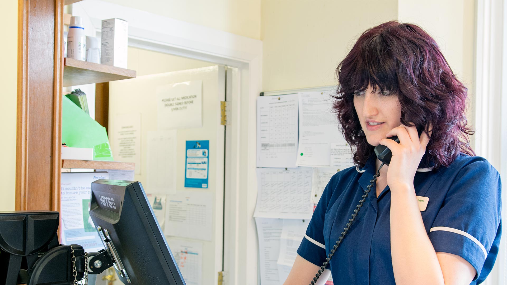 Contact Us | Local vets in St. Leonards-on-Sea and Bexhill-on-Sea Vets ...