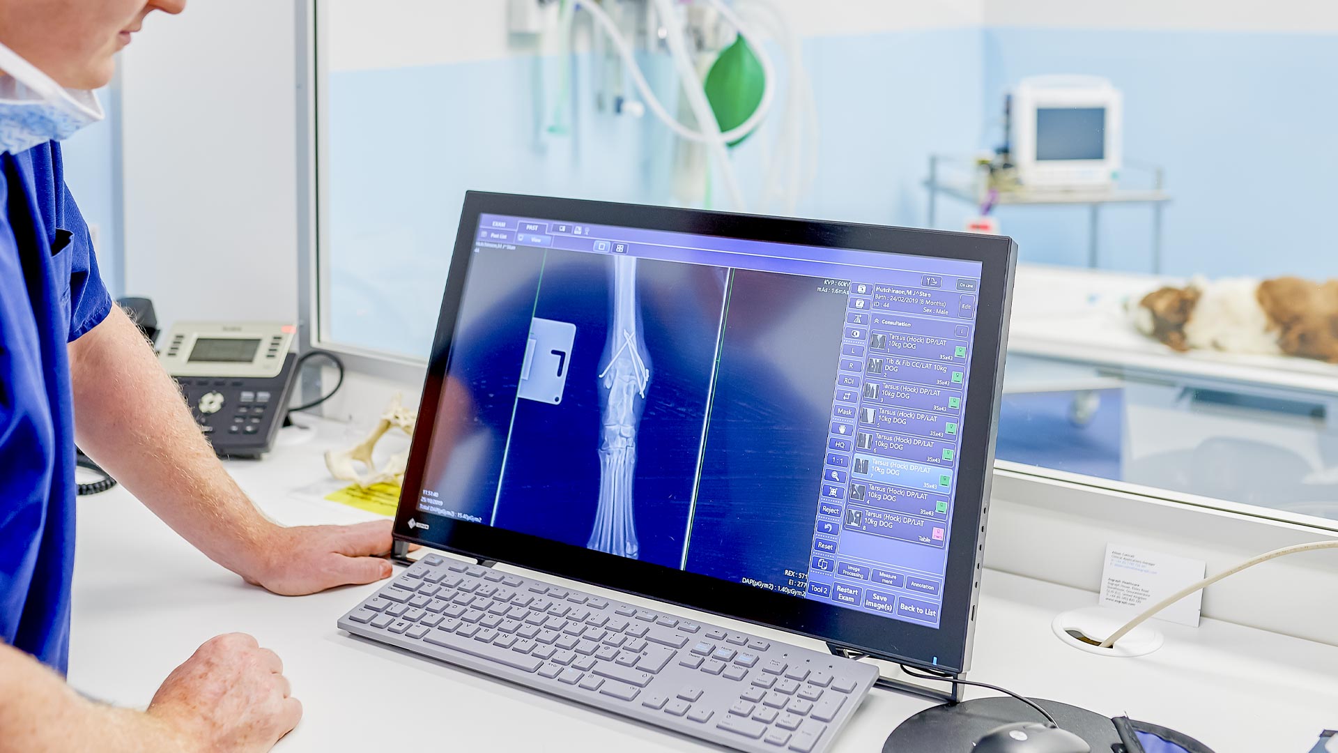 Advanced Imaging | Referral Vets in Leeds - Swift Referrals