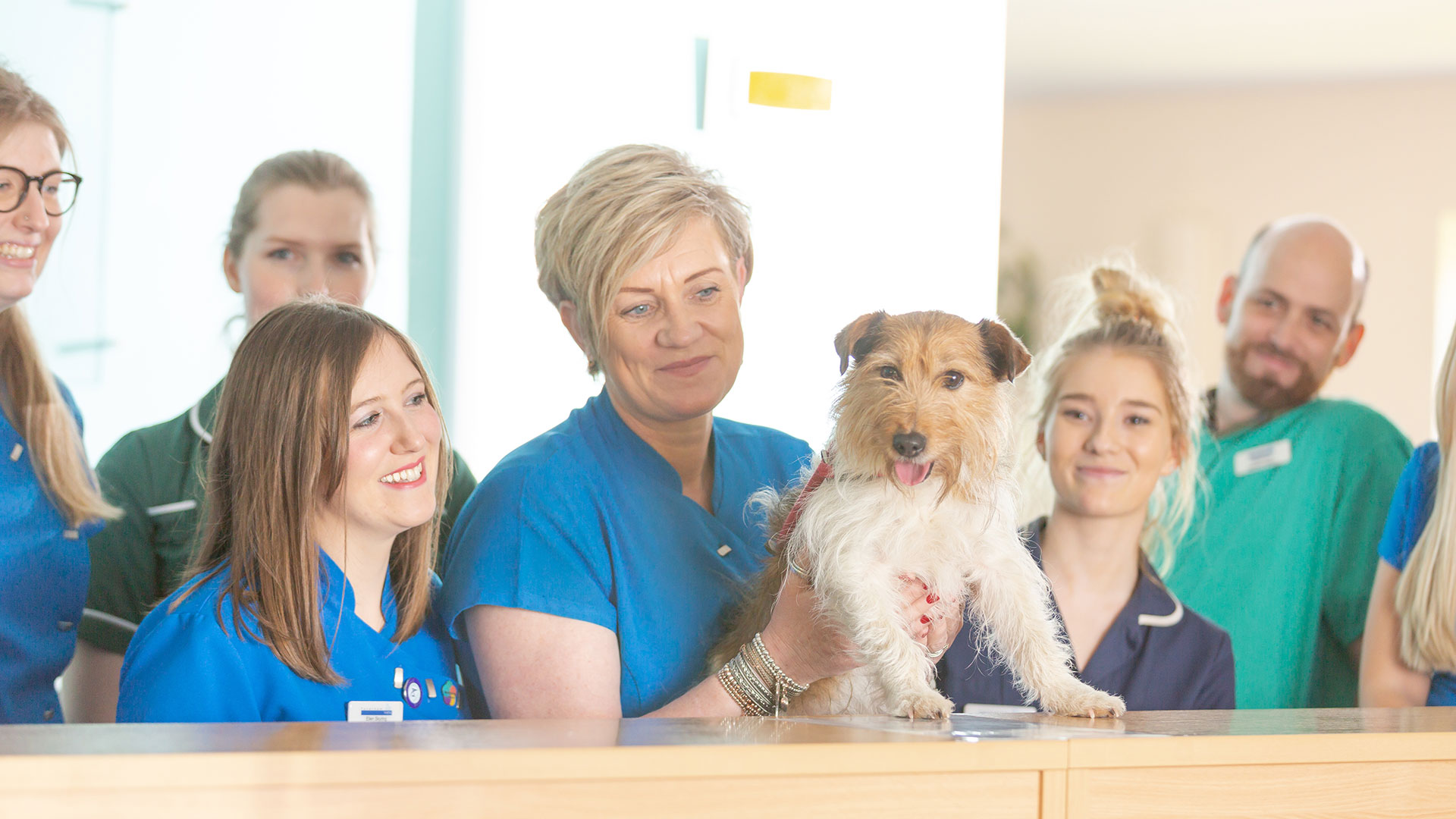 Find Vets In & Near Norwich | Taverham Vets - Taverham Vets