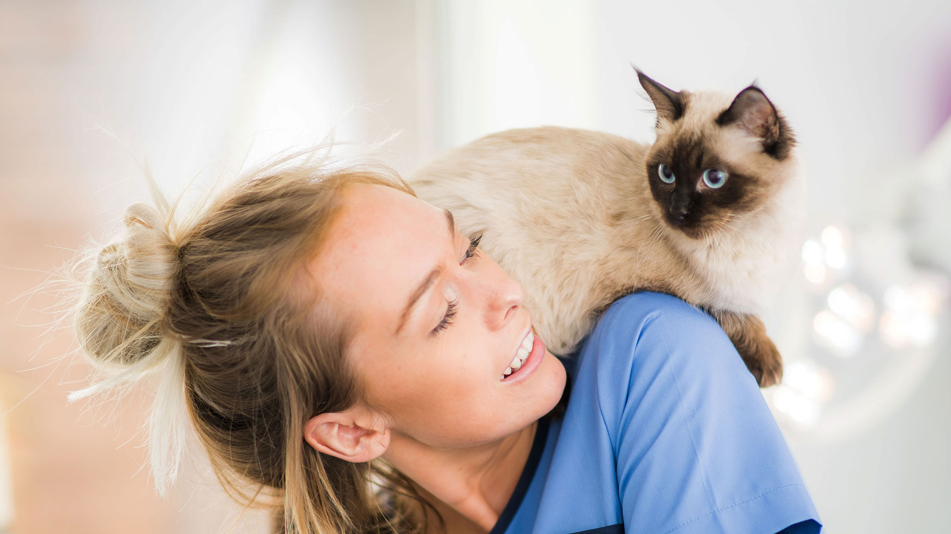 Diagnostic Clinics | Vets in Glasgow - Taylor Vet