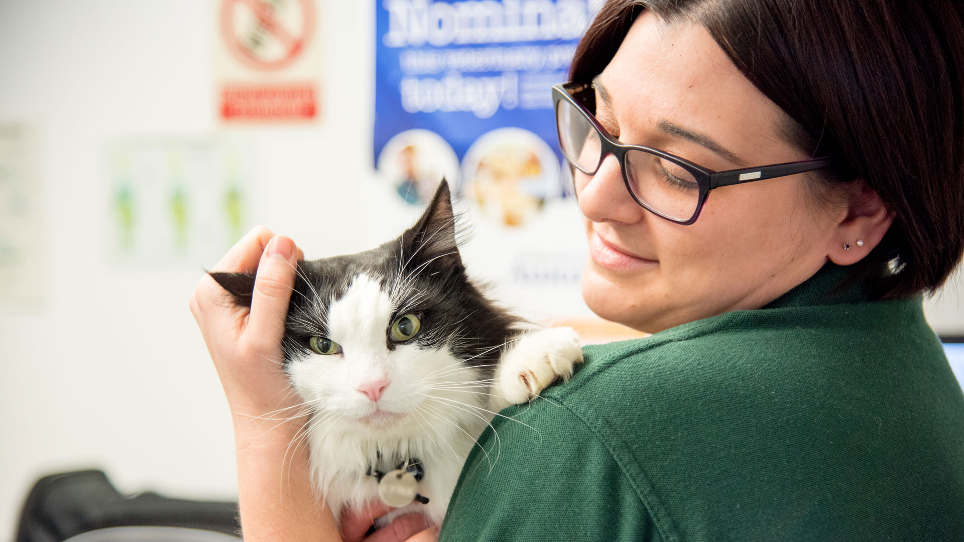 Contact Us | Gold Standard Cattery in Kent - Thanet Cattery