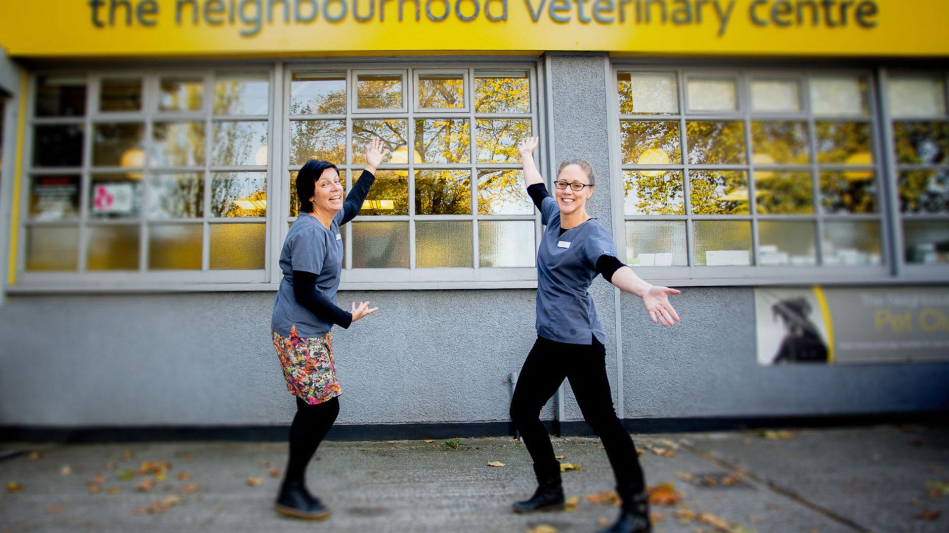 Top Quality Pet Care In London | The Neighbourhood Vet - The ...