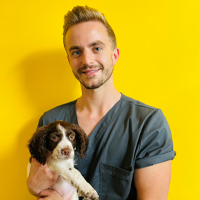 Meet the Team | Local Vets in London - The Neighbourhood Vet