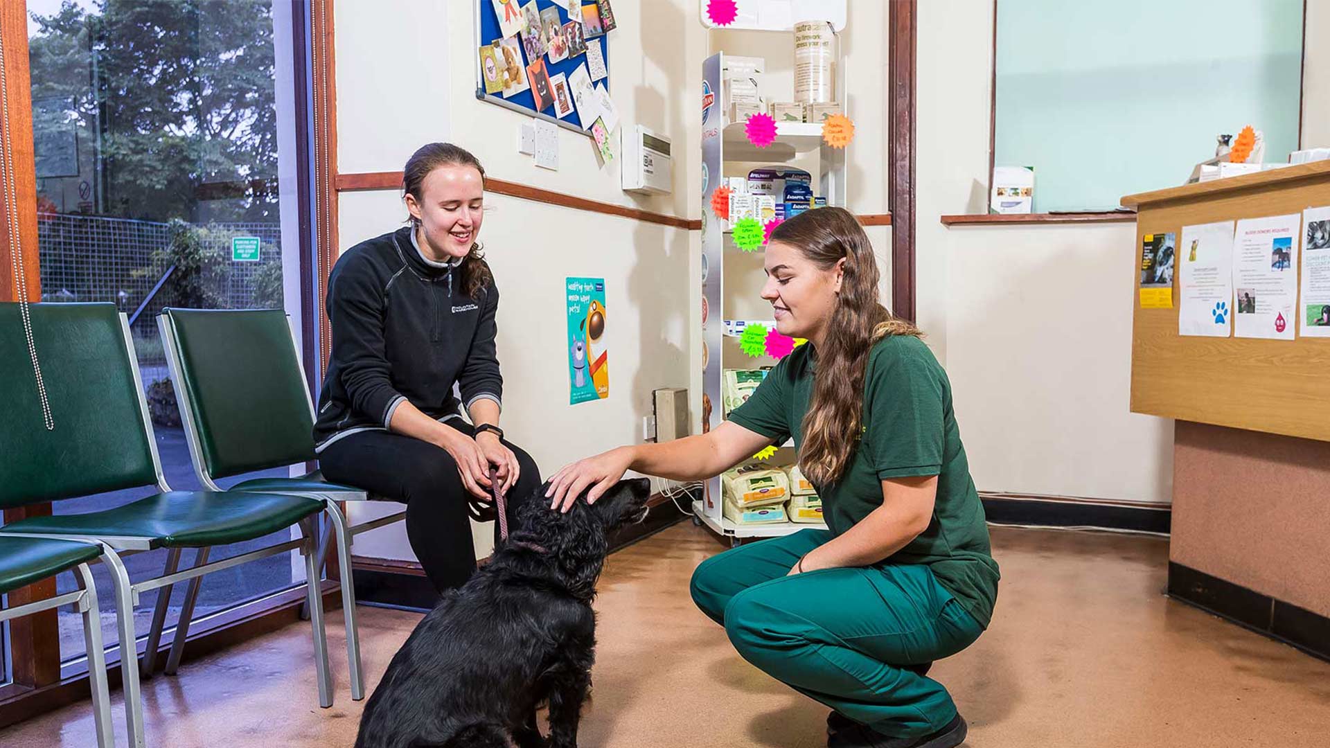 About Tower Vets | Local Vets in Perthshire - Tower Vet