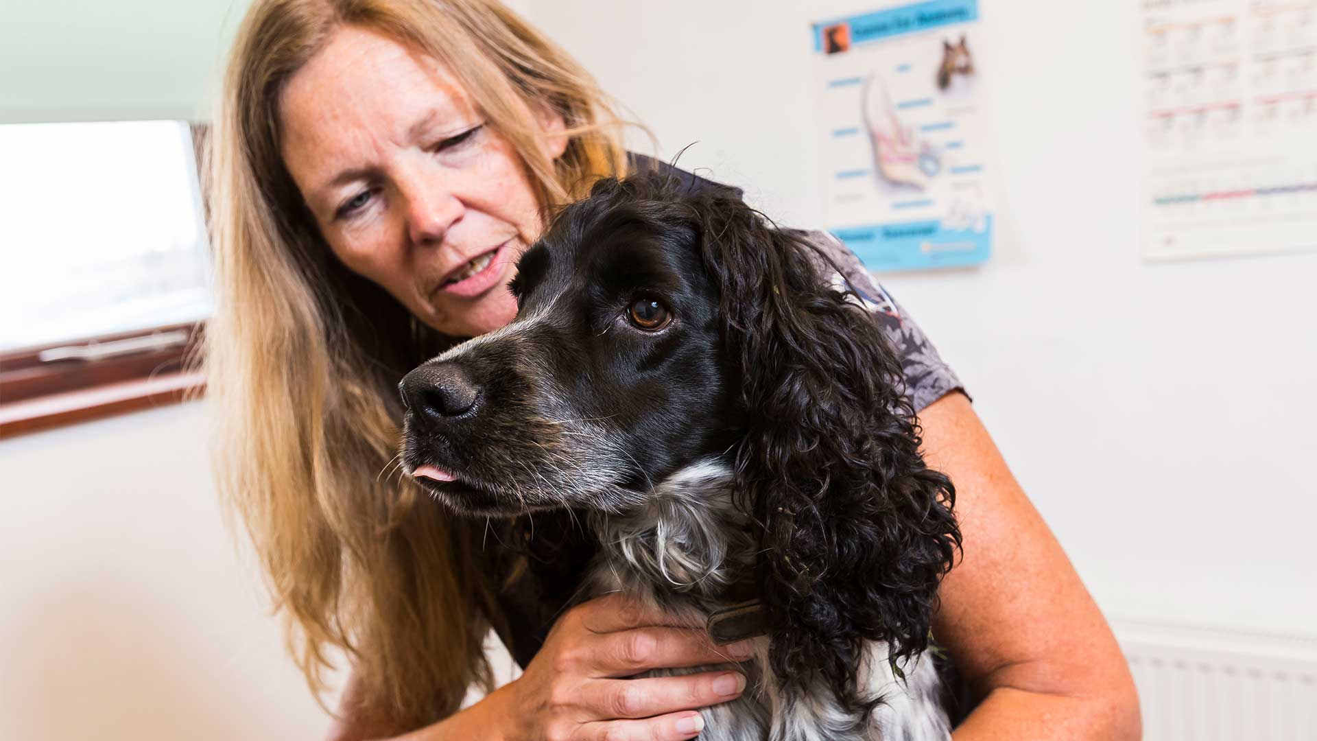 Tower Vets Blog | Vets in Perthshire - Tower Vet