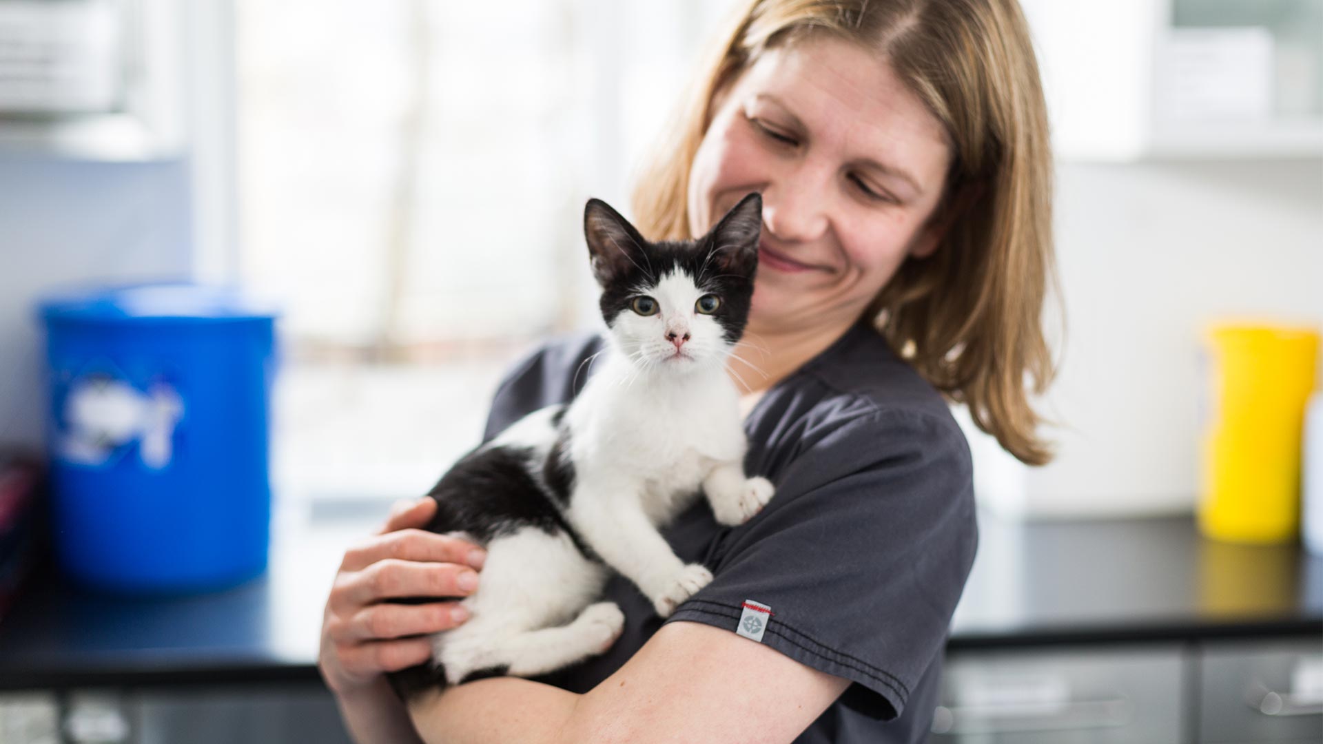about-us-twickenham-vets-in-middlesex-twickenham-vets