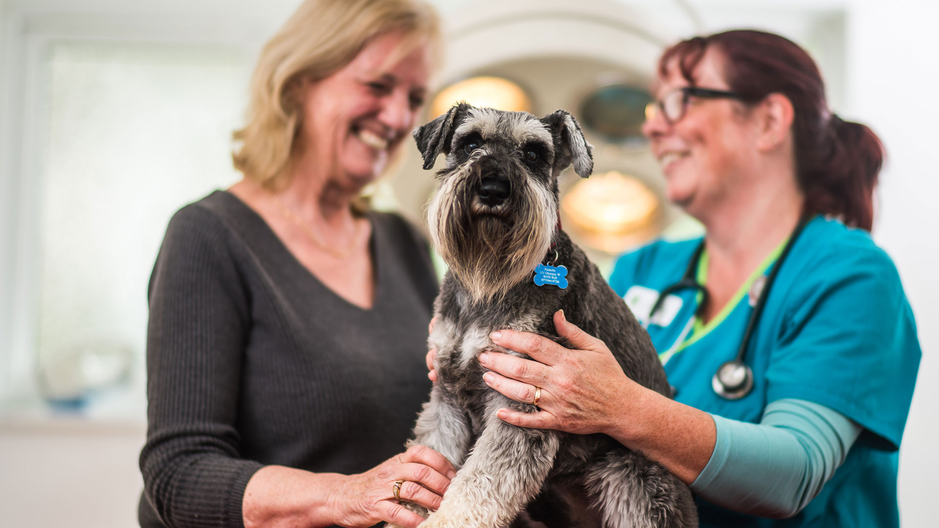 Pet Advice From Vets in Southampton - Unicorn Vets