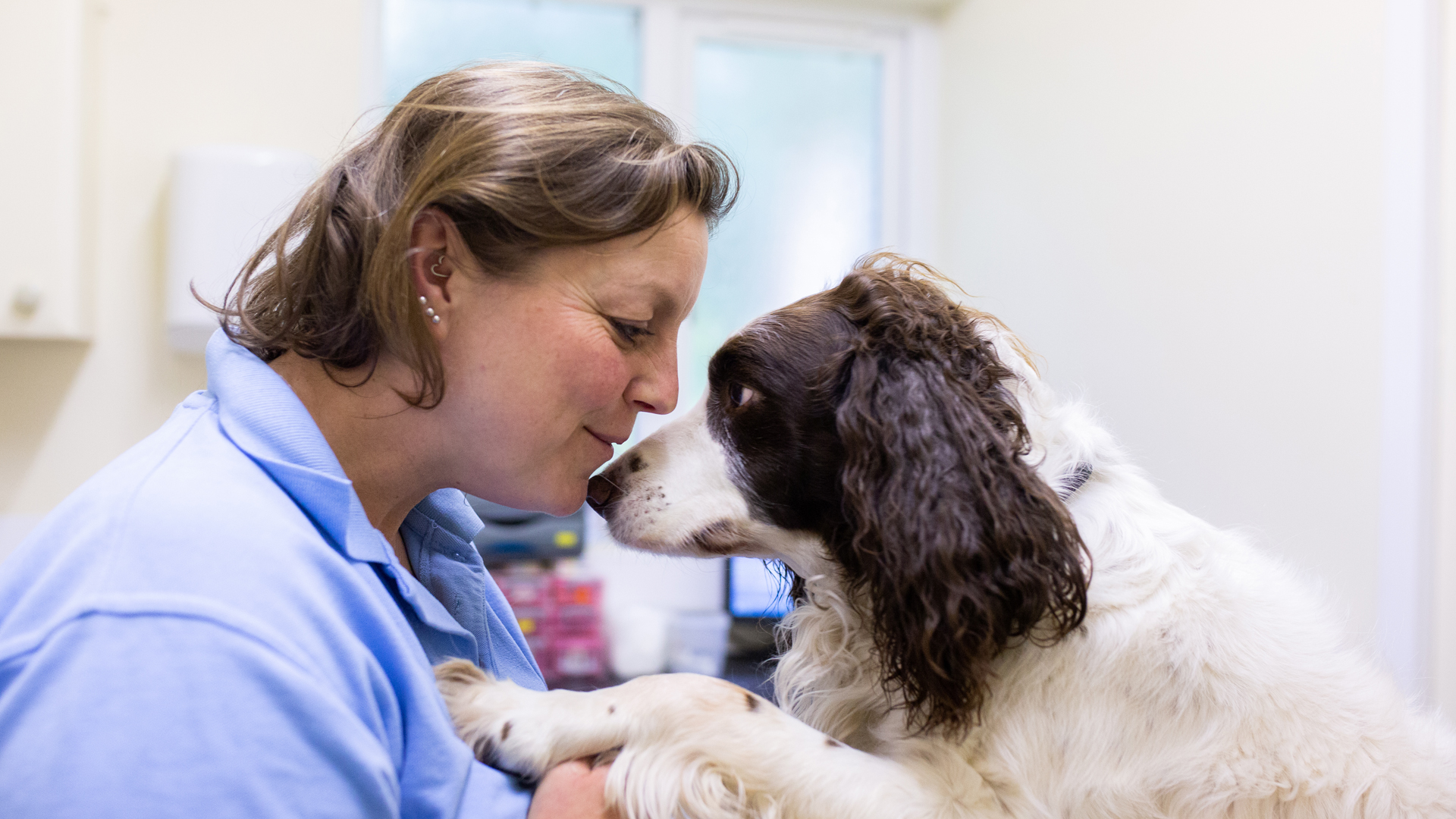 The Team at Usk Vets | About | Vets in Monmouthshire, Usk, Caerleon ...