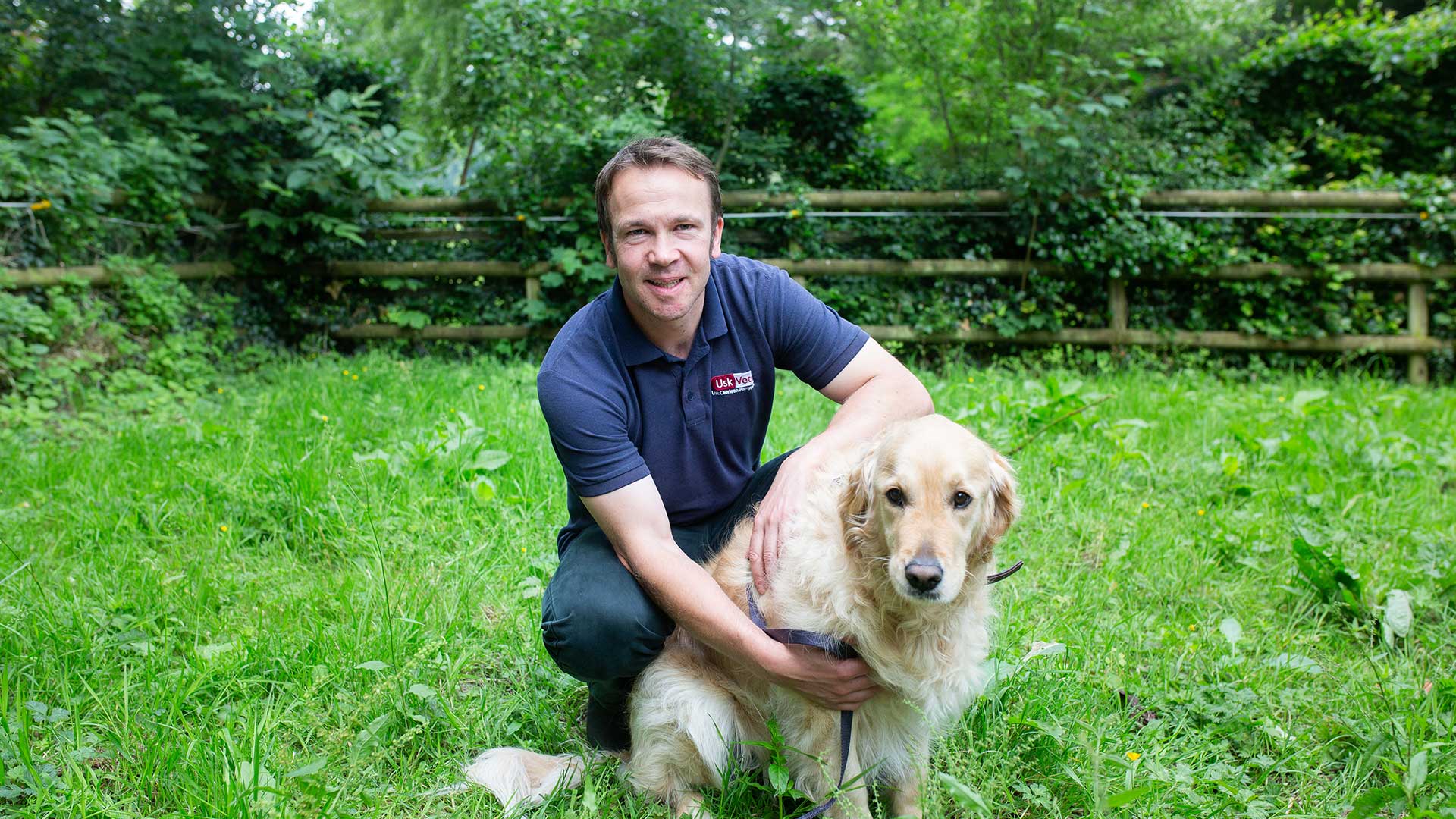 Pet Care information about Usk Vets | Vets in Monmouthshire, Usk ...