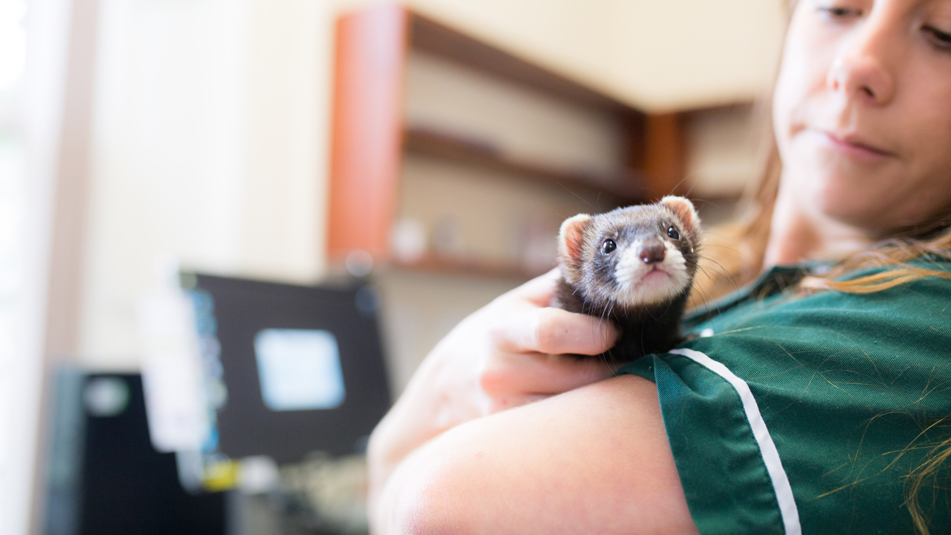 Mammals | Local Exotic Animal Vets in Chorlton - Vets 4 Exotics ...