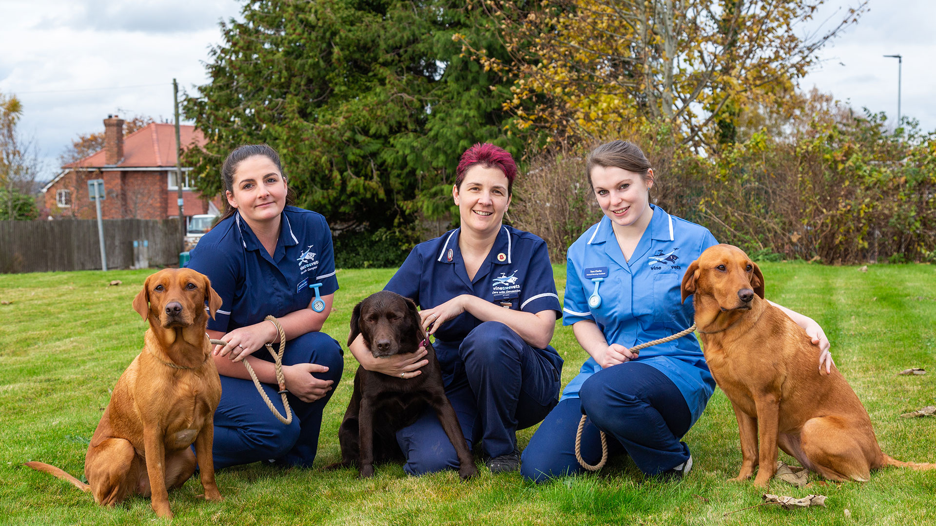 Repeat Prescriptions | Local Vets in Ross-on-Wye - Vine Tree Vets