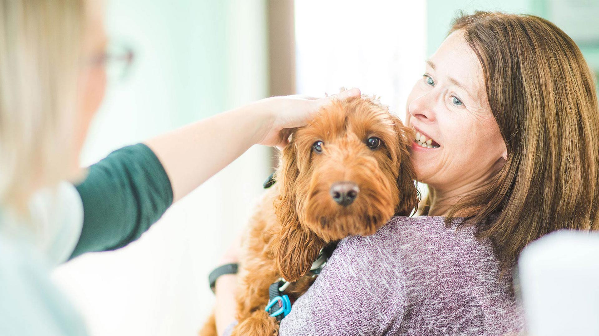 Walton Lodge Veterinary Group | Contact us - Walton Lodge Veterinary Group