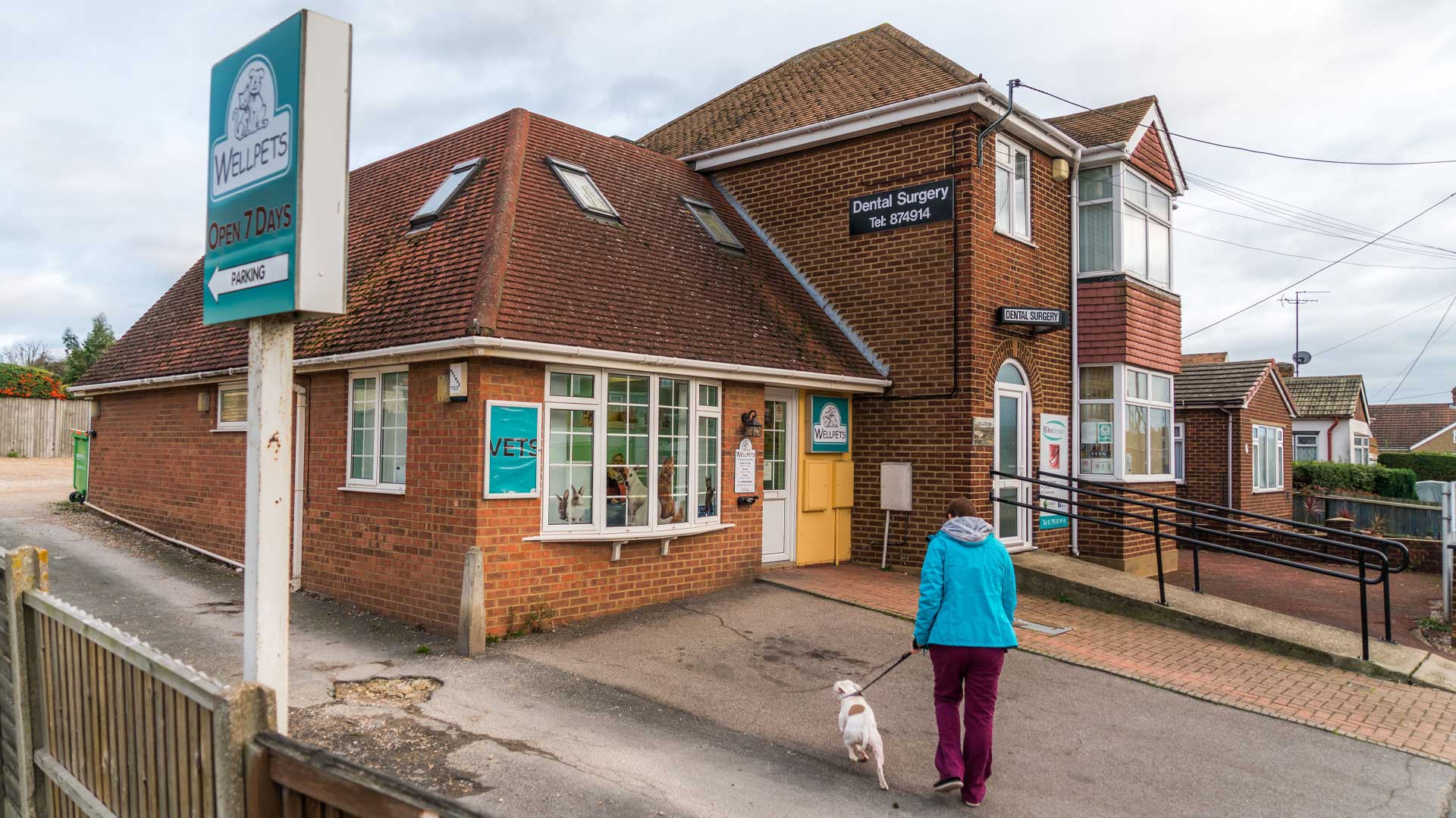 Our Practices | Local Vet in Kent - Wellpets Kent