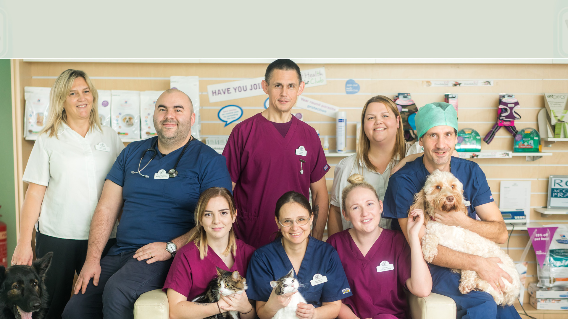 Meet the Team | Local Vets in Sheerness, Minster and Sittingbourne ...