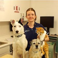 Meet the Team | Local Vets in Buckinghamshire - Wheelhouse Vet Centre